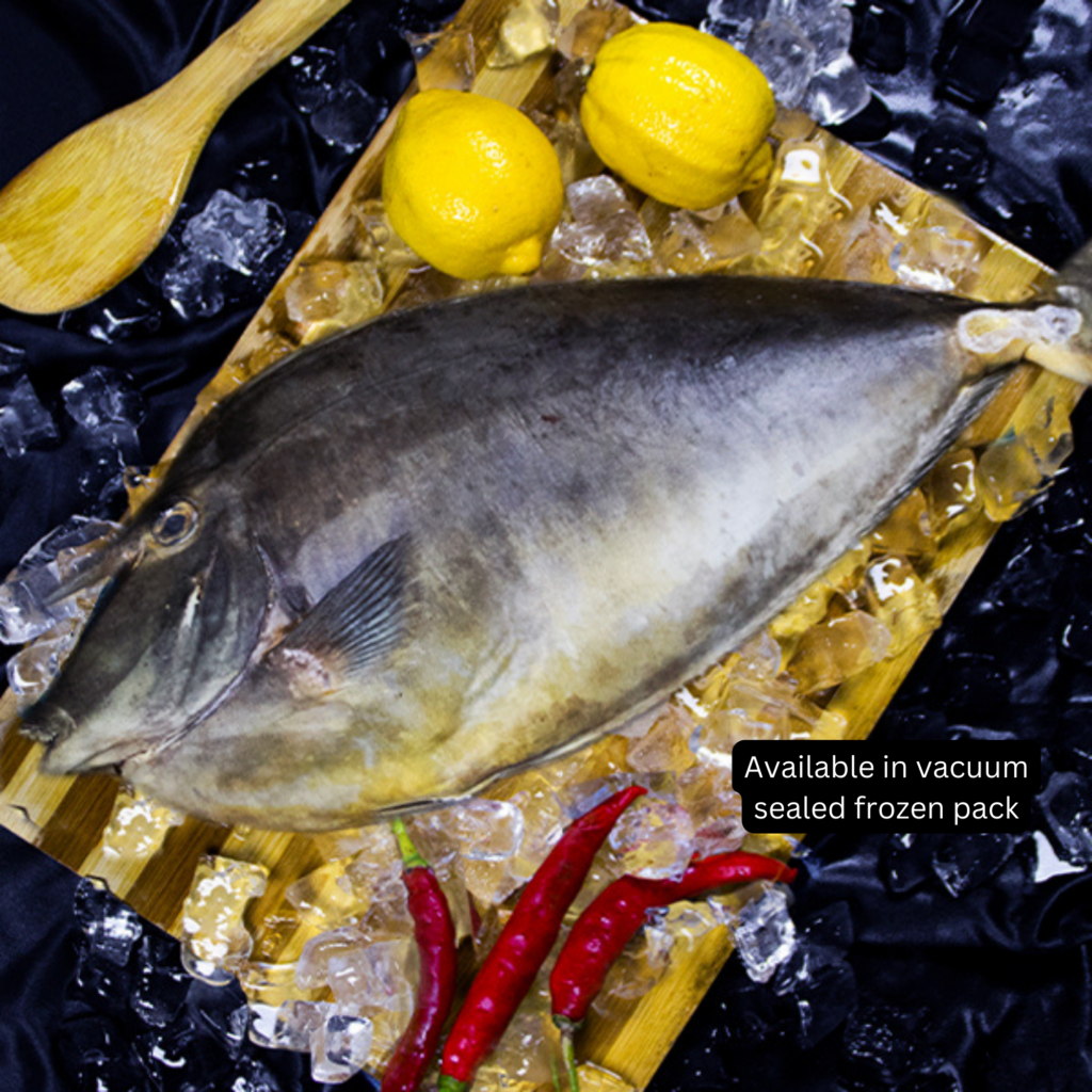 Food Processors Fiji - Bluespine Unicorn Fish (Ta)