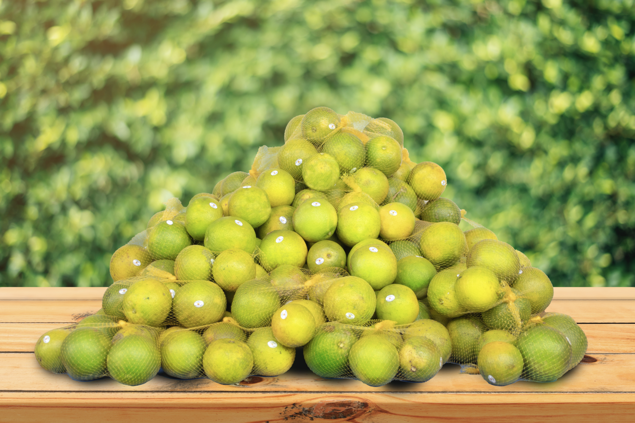 Food Processors Fiji - Batiri Farm